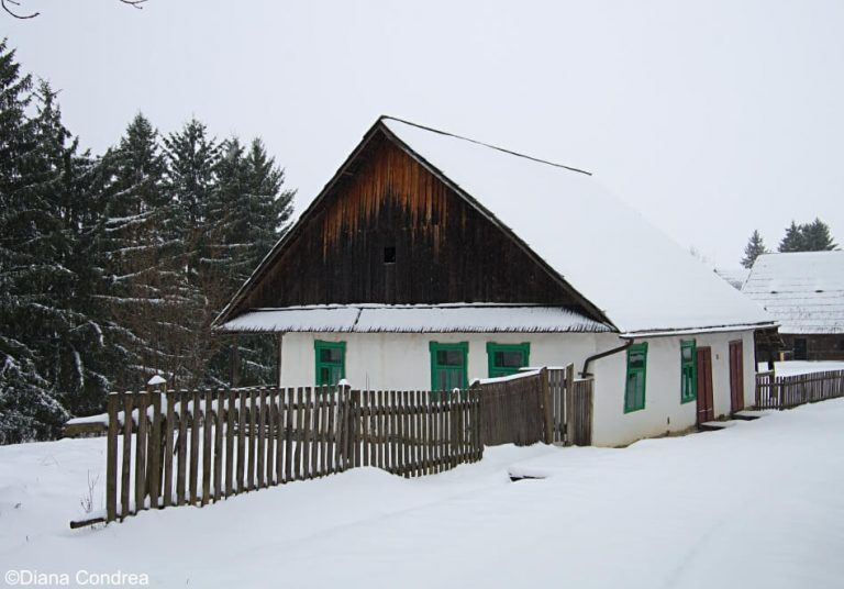 The Village Museum of Maramures: A World of Wooden Architecture