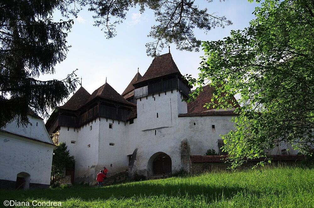 Viscri: The Saxon Village Where Traditions Came Back to Life