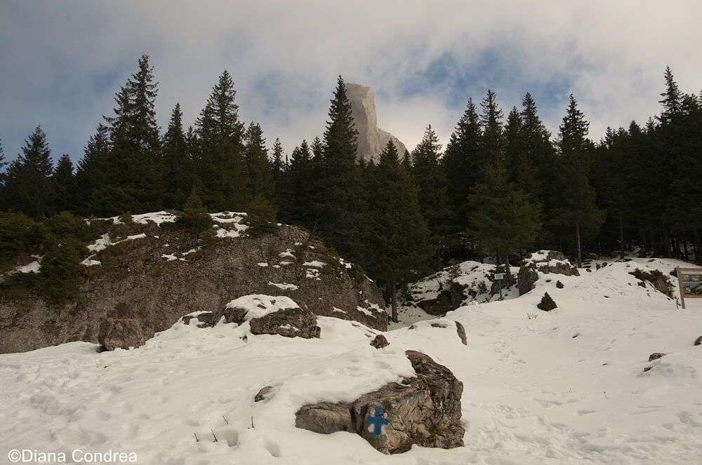 Rarau Mountains: Panoramic Views and Easy Hikes - Uncover Romania