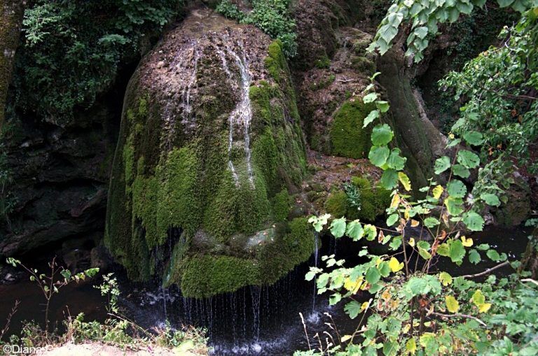 Bigar Waterfall: The Magic of a World Famous Attraction