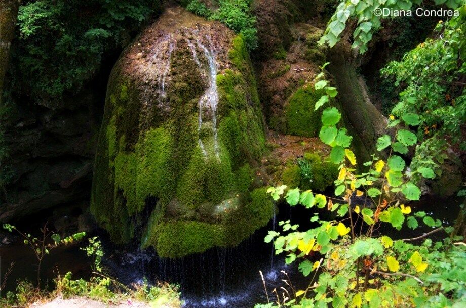 Bigar Waterfall: The Magic of a World Famous Attraction