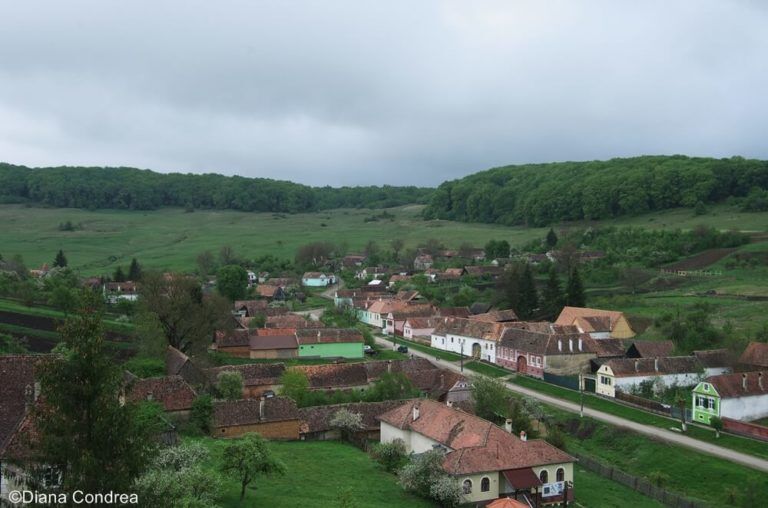 The Village of Alma Vii: Traditions Come Back to Life