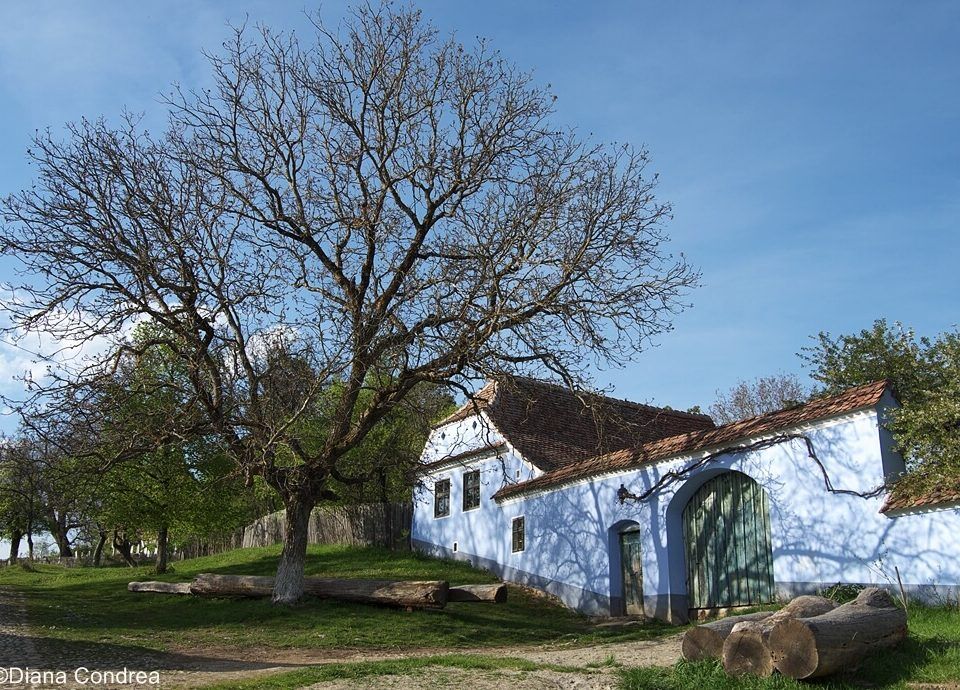The Village of Alma Vii: Traditions Come Back to Life