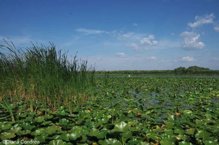 Nature in Romania: Wilderness and Breathtaking Landscapes