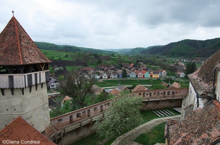 The Village of Alma Vii: Traditions Come Back to Life