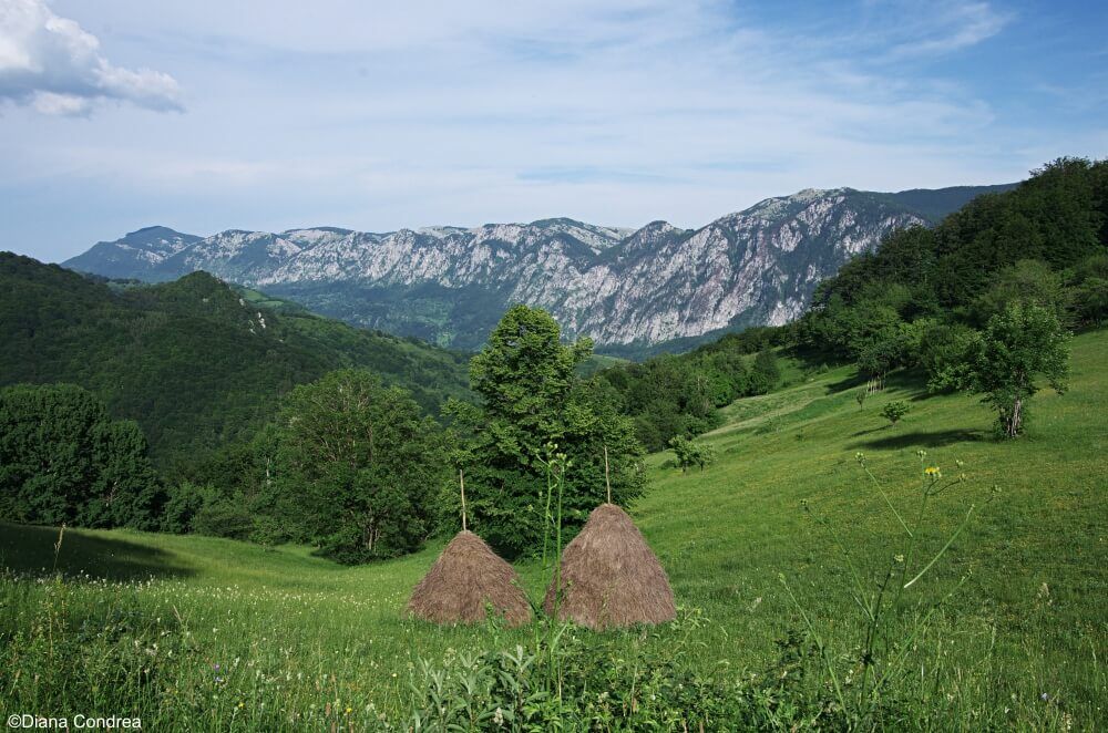 Nature in Romania: Wilderness and Breathtaking Landscapes